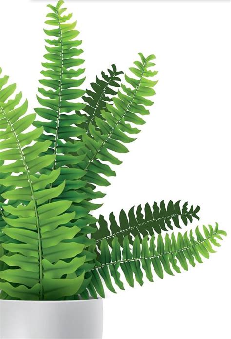 Яка будова насіння Пізнаємо природу 5 клас Біос