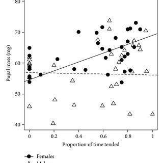 A Frequency Of Ant Tending Had Sex Dependent Effect On Pupal Mass Download Scientific