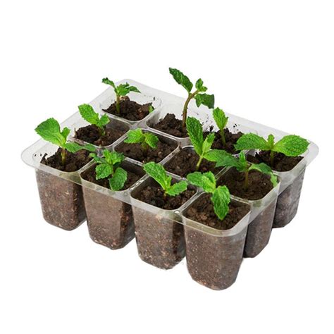 투명 플라스틱 삽목 트레이 12구 단품 오픈마켓 우리들쇼핑