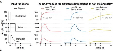Solving A Delayed Differential Equation In Matlab To Reproduce A