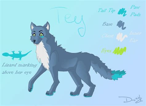 Teys Ref Sheet By Dreize On Deviantart