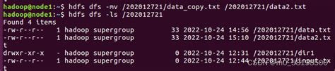【hdfs】hdfs 的常用命令 hdfs常用命令 csdn博客