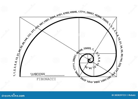 Fibonacci Sequence Circular Spiral Illustration For Adults Beautiful