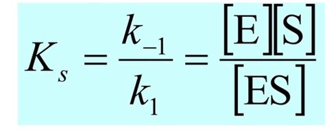 enzyme kinetics ii flashcards quizlet