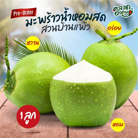 ตลาดอร่อย Product Reviews มะพร้าวน้ำหอม 1 ลูก ส่งตรงจากสวนบ้านแพ้ว มะพร้าวน้ำหอม 1 ลูก ส่งตรง