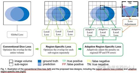 论文阅读3：医学图像分割《adaptive Region Specific Loss For Improved Medical Image
