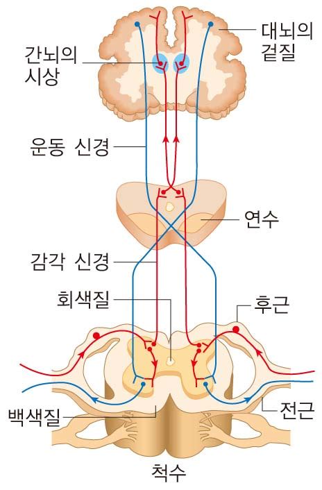 미래엔 엠티처
