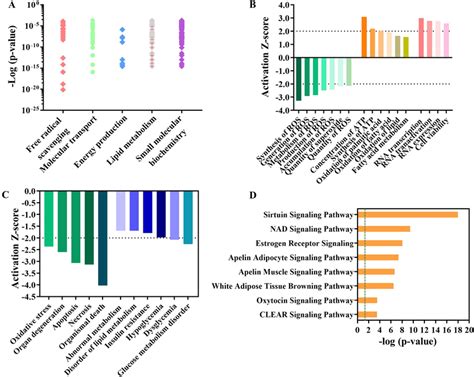 Ingenuity Pathway Analysis Of The Mrna Data A The Comparison Of Mrna Download Scientific