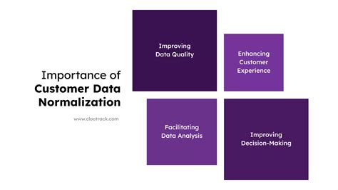 Customer Data Normalization Transforming Raw Data Into Actionable Insights Ppt