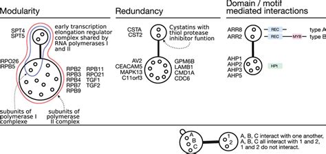 Modularity And Redundancy In Protein Interaction Networks Modularity Download Scientific