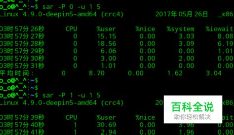 Linux怎么查看cpu使用率 【百科全说】