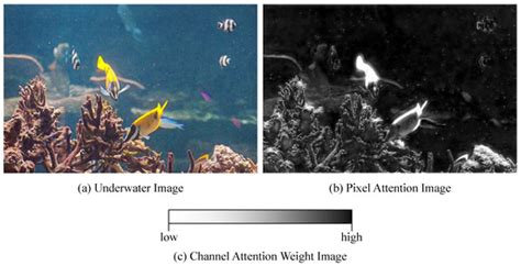 Jmse Free Full Text Lepf Net Light Enhancement Pixel Fusion Network For Underwater Image