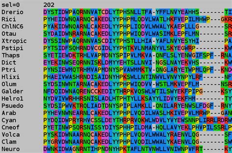 phylogenetics methods