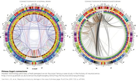 Circos Tutorials Recipes Cortical Maps Circos Circular Genome