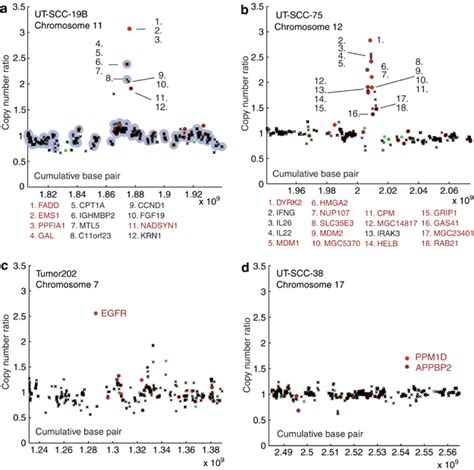 expression annotated copy number plots for four lscc amplicons