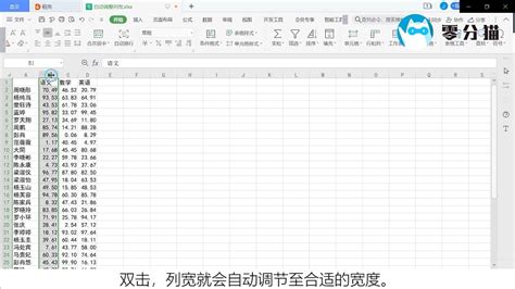 自动调整列宽在哪 零分猫