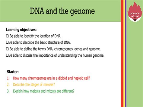 AQA GCSE Biology DNA Teaching Resources