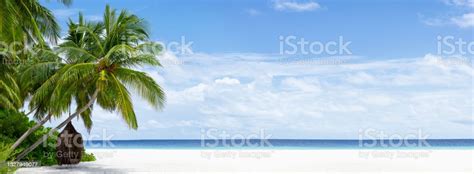 하얀 모래 청록색 바다 화창한 날에 푸른 하늘이있는 아름다운 열대 해변이있는 풍경 야자수가 물 위에 기대어 있다 몰디브 또는 세이셸 제도에서 여름 방학 을 위한 배경 해변에