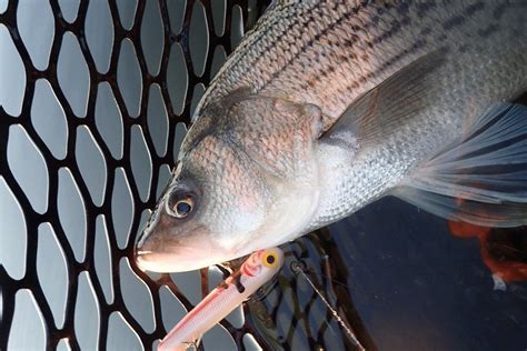 Go Fishing This Weekend Nebraskaland Magazine