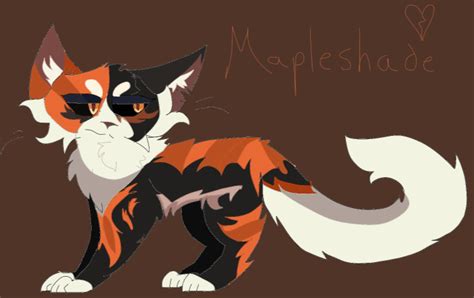 Mapleshade Artims By Sxnnyskiies On Deviantart