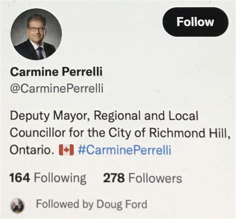 Will York Regional Council Ignore Its Own Integrity Commissioner And Allow Carmine Perrelli To