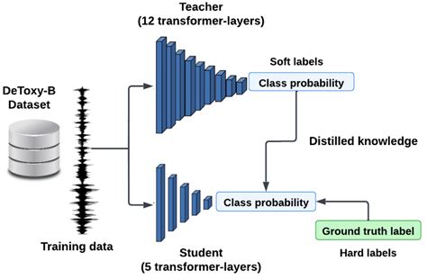 Knowledge Distillation Training Process Applied On The Mtl Wav2vec2 0 Download Scientific