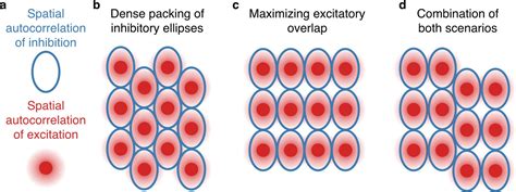 Figures And Data In Learning Place Cells Grid Cells And Invariances