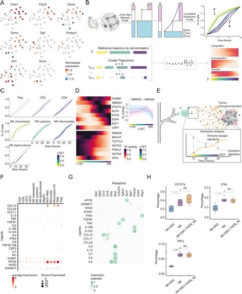 Time Resolved Single Cell Transcriptomics Defines Immune Trajectories In Glioblastoma Cell