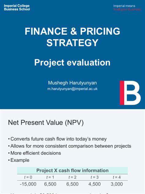 Project Evaluation Updated Pdf Net Present Value Internal Rate Of Return