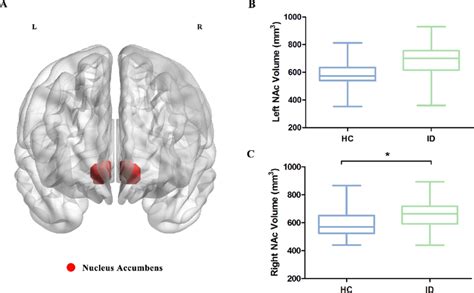 A A Sketch Map Of Bilateral Nac And Comparisons Of The B Left Nac Download Scientific