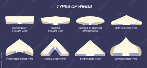 Fototapeta Airplane Wings And Positions Vector Illustration Some