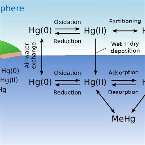 Pdf Chemical And Physical Transformations Of Mercury In The Ocean A