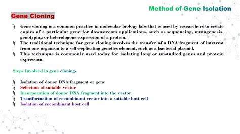 Gene Isolation And Sequencingpdf