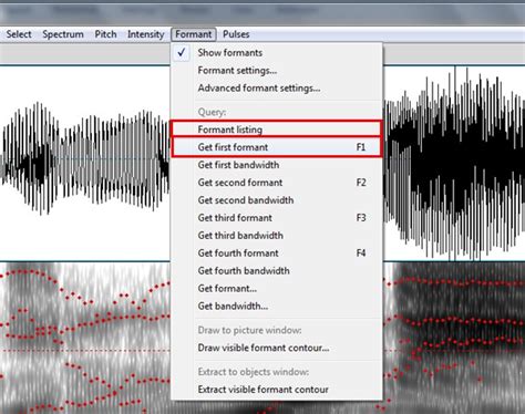 14 Analysis Of Speech In Praat Phonetics And Phonology