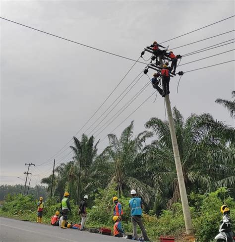 Pln Ulp Kotapinang Komitmen Jaga Keandalan Listrik Dan Tingkatkan Pelayanan
