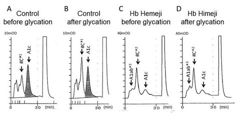 Chromatogram Of The Hplc Before And After Incubation With Glucose The Download Scientific