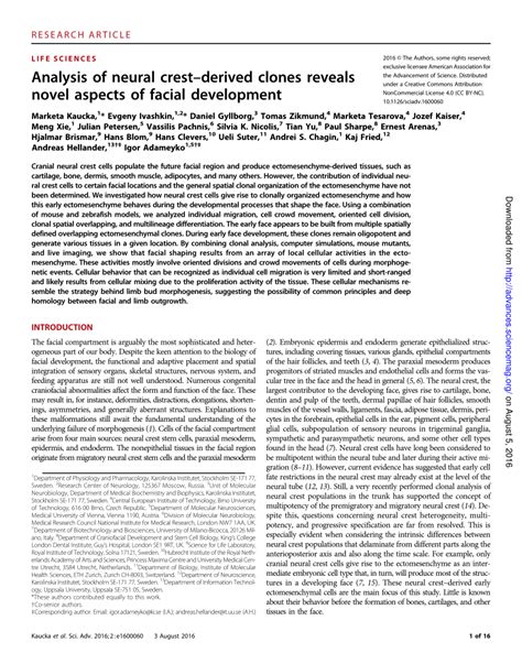 Pdf Analysis Of Neural Crest Derived Clones Reveals Novel Aspects Of Facial Development