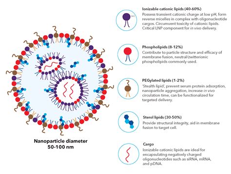 Lipid Nanoparticles Lnps Gene Delivery Tocris Bioscience