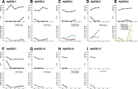 A I Longitudinal Assessment Of Ctc Ctdna Levels Kras Mutated Clones Download Scientific