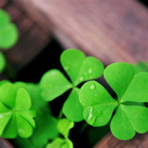 Guo Wenjun Peking University Beijing Pku Institute Of Molecular Medicine Research Profile