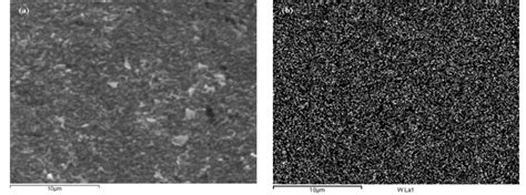 sem edx investigation of ni nano wc nanocomposite layer a sem