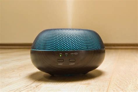 Are Oil Diffusers Safe For Cats What You Need To Know Pango Pets