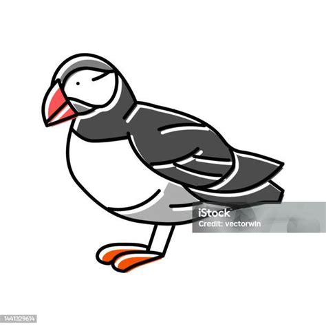 대서양 퍼핀 조류 이국적인 색 아이콘 벡터 일러스트 레이 션 귀여운에 대한 스톡 벡터 아트 및 기타 이미지 귀여운 깃털