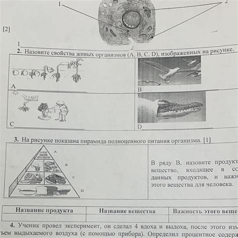 Назовите свойства живых организмов А В С D изображенных на рисунке Школьные Знания Com