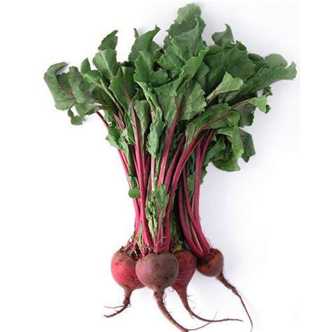 Buy Bunch Beet 1 Bunch Fresh Farms Quicklly