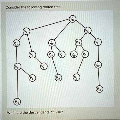 Consider The Following Rooted Tree What Are The Descendants Of V10