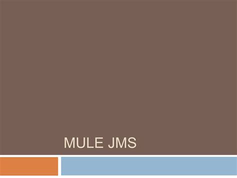 mule with jms ppt