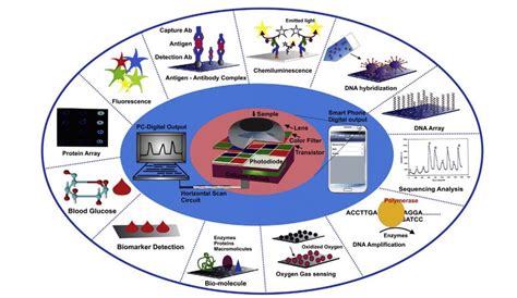Cmos Sensor Based On Various Biomolecular Diagnoses Dna Dna