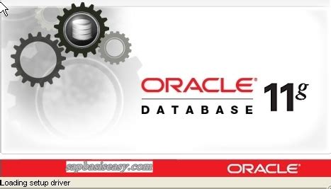 How To Install SAP Oracle Instance SAP Basis Easy