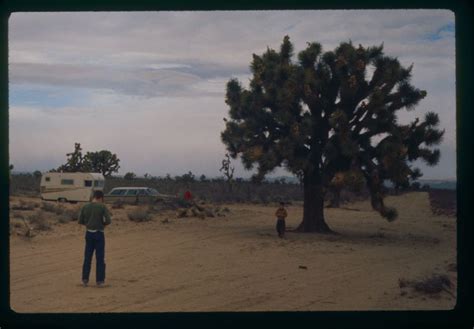 California In The 1960s Through Fascinating Found Photos ~ Vintage Everyday